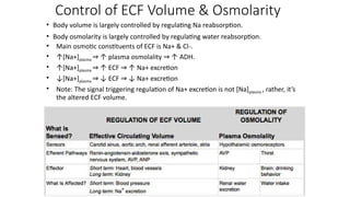 Lecture 25- Regulation of acid base mechanism.pptx