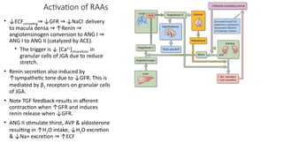 Lecture 25- Regulation of acid base mechanism.pptx