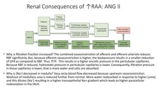 Lecture 25- Regulation of acid base mechanism.pptx