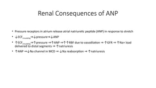 Lecture 25- Regulation of acid base mechanism.pptx