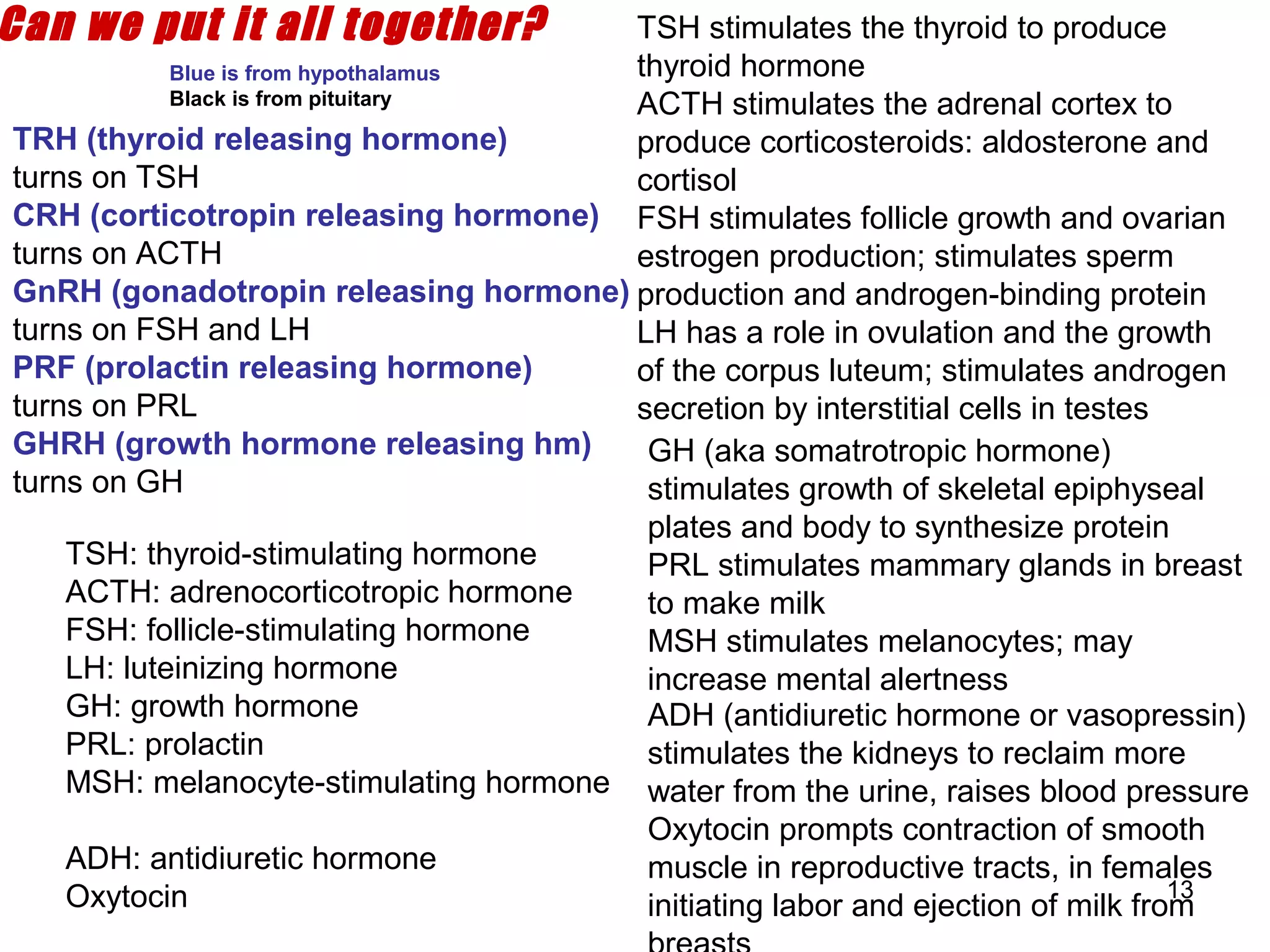 Lecture 25 the endocrine system | PPT