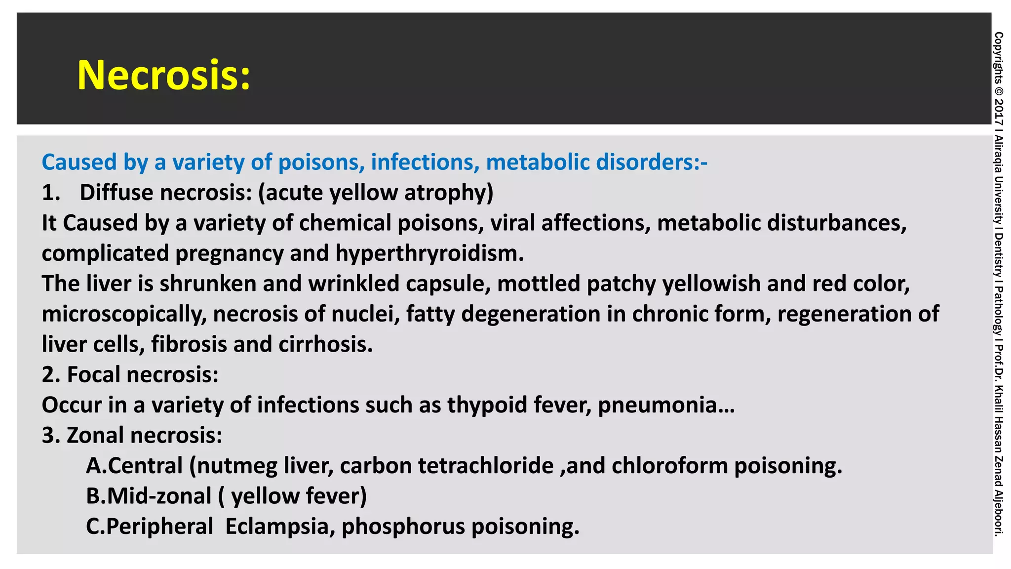 Lecture 25 diseases of liver and pancreas | PPTX