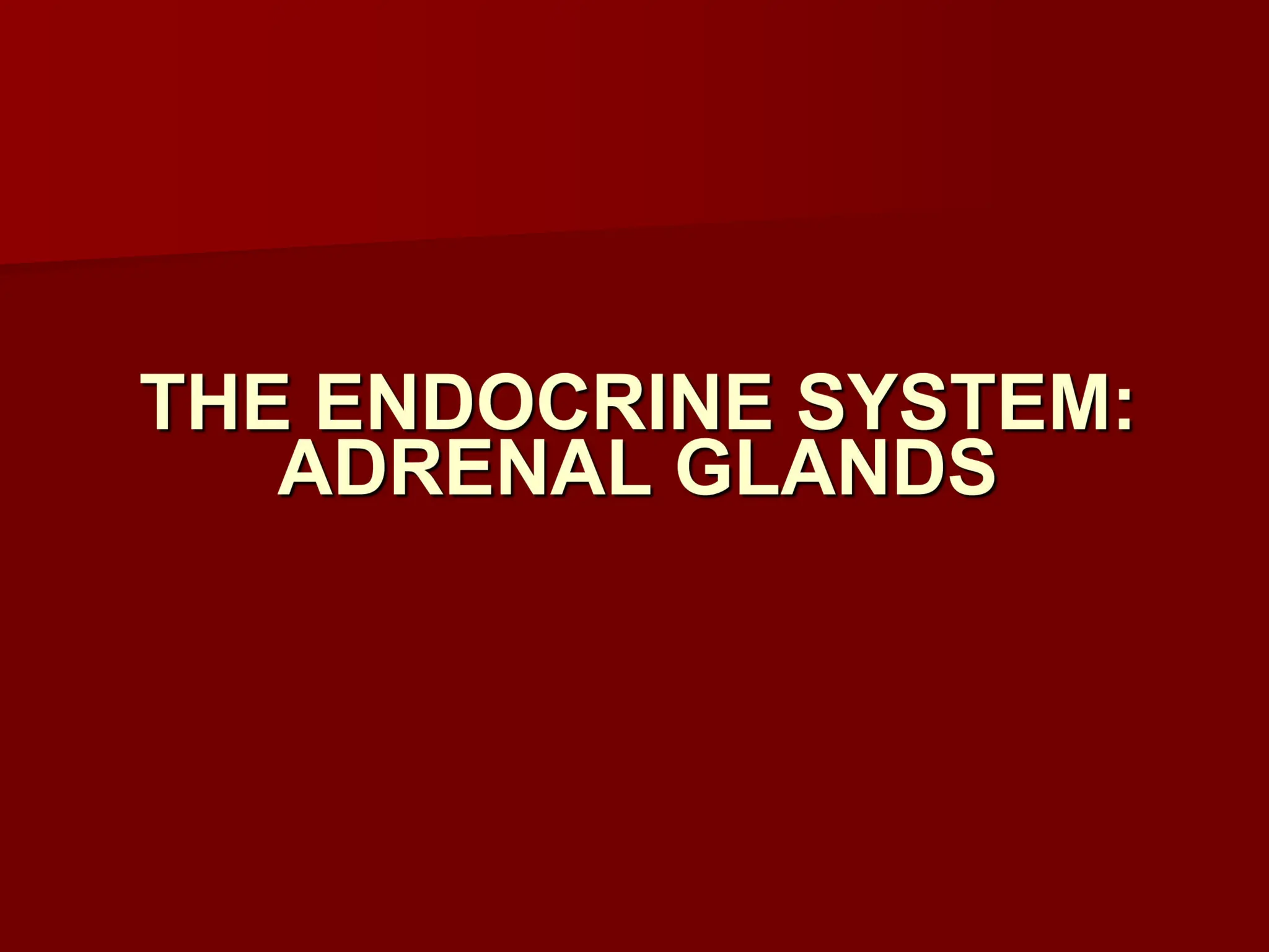 Topic 23: Human anatomy & Physiology Endocrine system.pdf