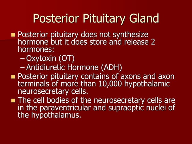 Topic 23: Human anatomy & Physiology Endocrine system.pdf