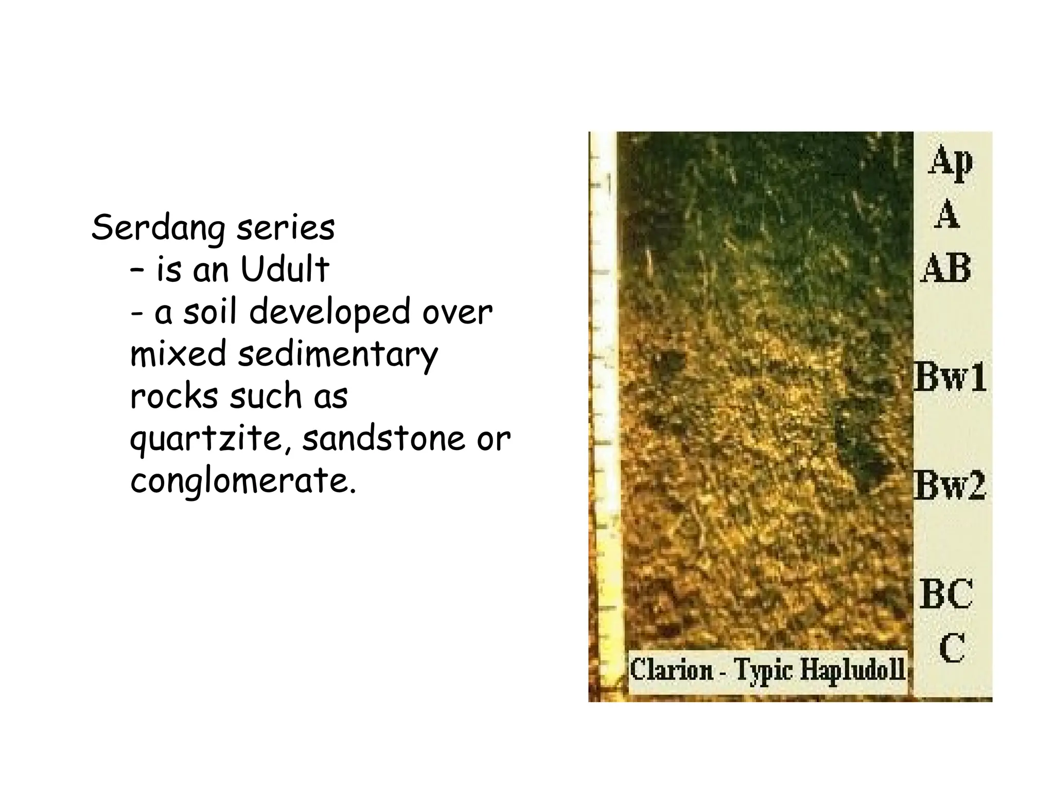 Lecture 25 Soils of Malaysia.pptxesegasgarsgarg | PPT