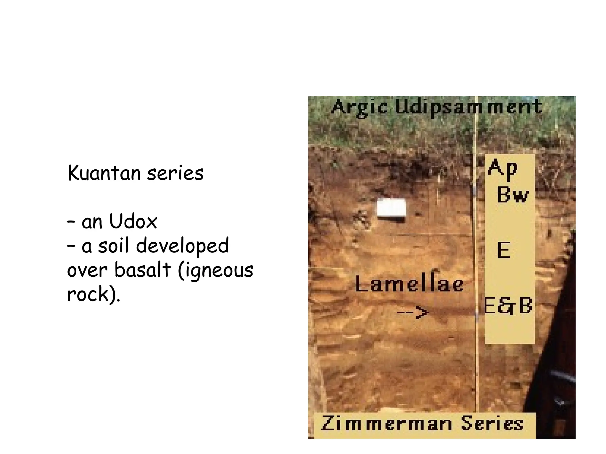 Lecture 25 Soils of Malaysia.pptxesegasgarsgarg | PPT