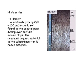 Lecture 25 Soils of Malaysia.pptxesegasgarsgarg | PPT