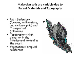 Lecture 25 Soils of Malaysia.pptxesegasgarsgarg | PPTX