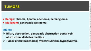 Lecture 26 diseases of liver and pancreas | PPTX