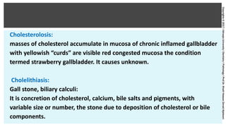 Lecture 26 diseases of liver and pancreas | PPTX