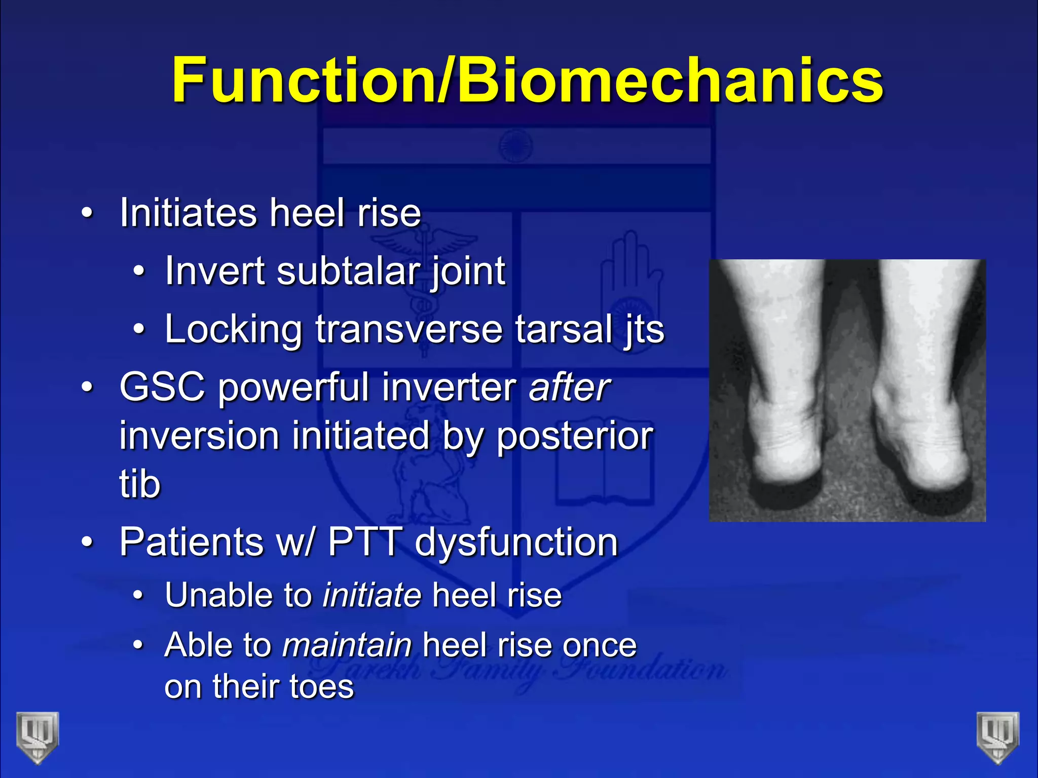 Lecture 26 parekh pttd2 | PPTX