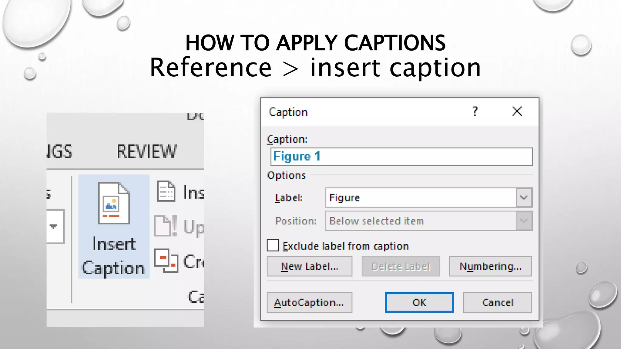 what are captions in ms word | PPTX