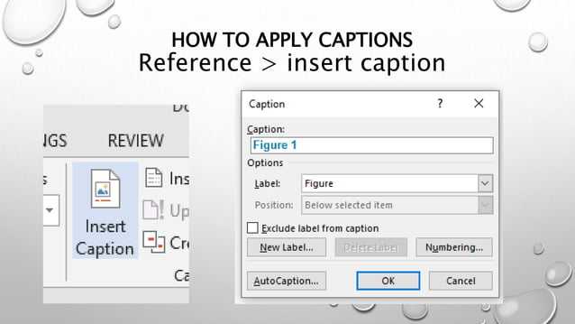 what are captions in ms word | PPTX