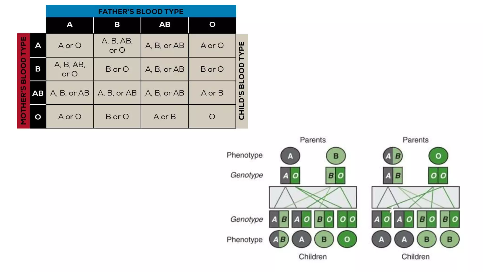 Lecture 27- Blood Group.pptx