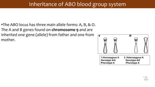 Lecture 27- Blood Group.pptx