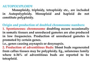 Lecture 27 - Polyploidy breeding.ppt