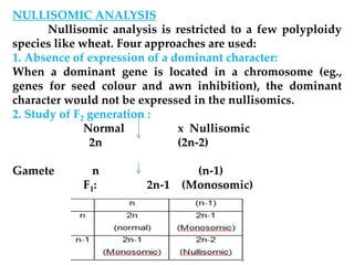 Lecture 27 - Polyploidy breeding.ppt