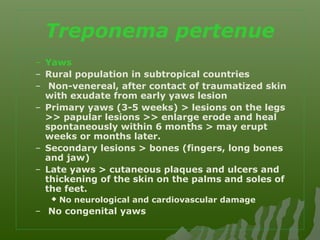 Lecture 27 Treponema and Borrelia | PPT