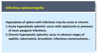 Lecture 27 pathology of lymphoid system | PPTX