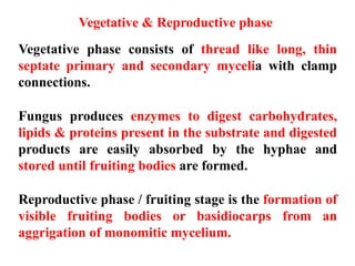 Lecture 27 symptoms and life cycle of Mushrrom fungi.pptx