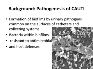 Lecture 28-Healthcare Associated Infections.pptx