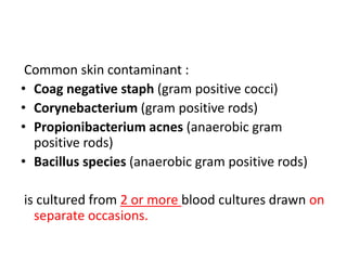 Lecture 28-Healthcare Associated Infections.pptx