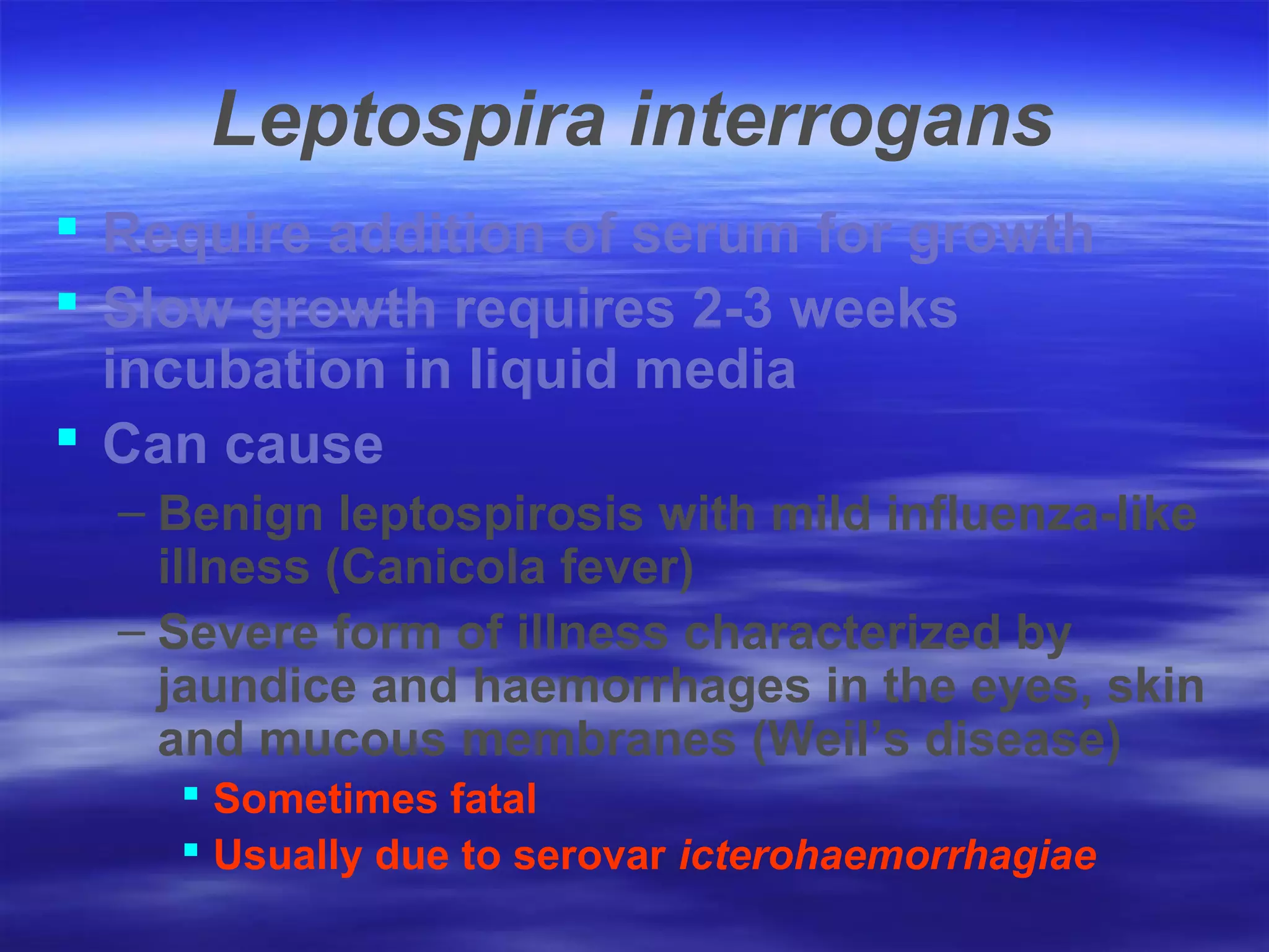 Lecture 28 Leptospira | PPT