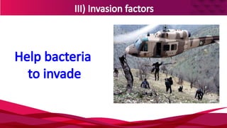 __Lecture 28 Bacterial pathogenesis-2.pptx