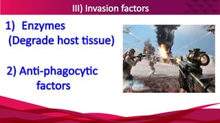 __Lecture 28 Bacterial pathogenesis-2.pptx