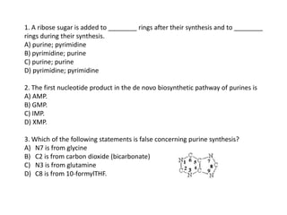 purine and pyrimdine | PPTX