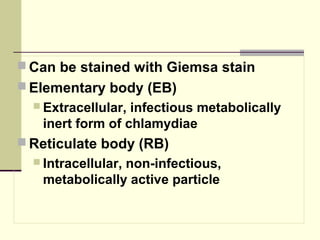 lecture29-chlamydia-131112214406-phpapp01.pdf