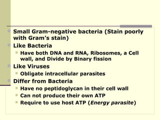 Lecture 29 Chlamydia | PPT
