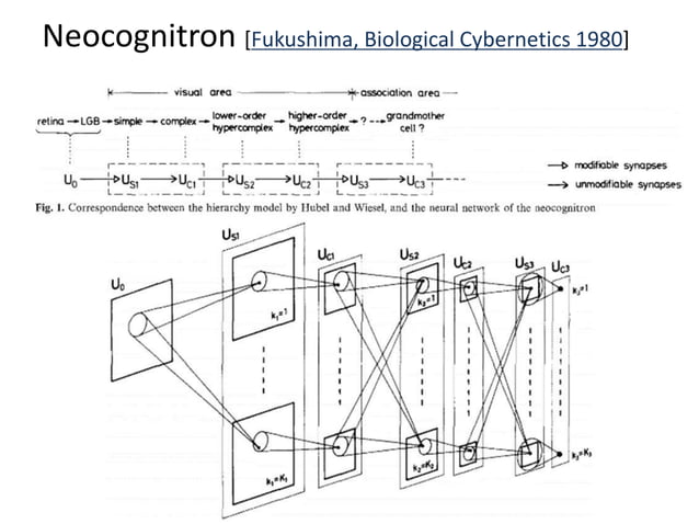 Lecture 29 Convolutional Neural Networks - Computer Vision Spring2015 | PPTX