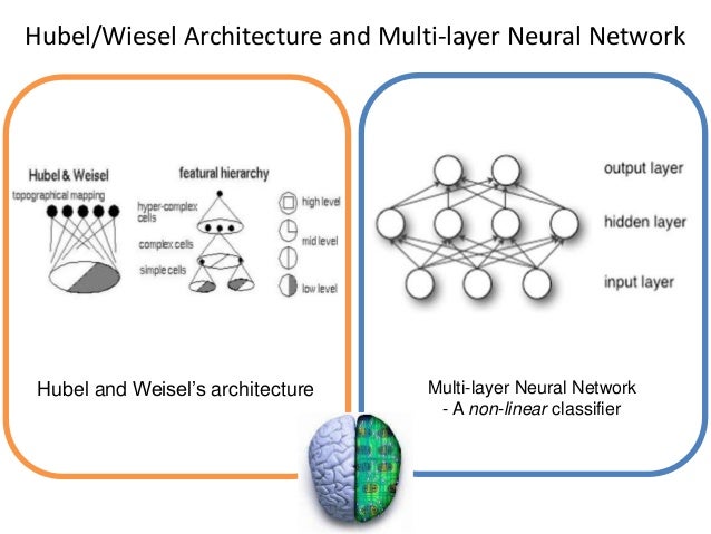Lecture 29 Convolutional Neural Networks Computer Vision Spring2015