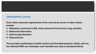 Lecture 29 hematopathology | PPTX