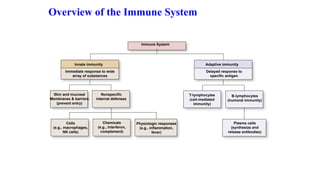 Lecture 2a. OVERVIEW Adaptive immunity.pptx