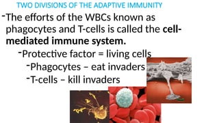 Lecture 2a. OVERVIEW Adaptive immunity.pptx