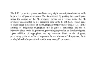 Lecture 2a cosmids | PPTX | Chemistry | Science