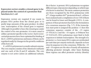 Lecture 2a cosmids | PPTX | Chemistry | Science