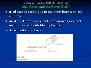 Lecture 2 animal cell biotechnology | PPT