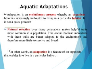 Lecture 2 Aquatic AdaptationsSSSSSSSSSSSS .pptx