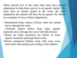 Lecture 2 Aquatic AdaptationsSSSSSSSSSSSS .pptx