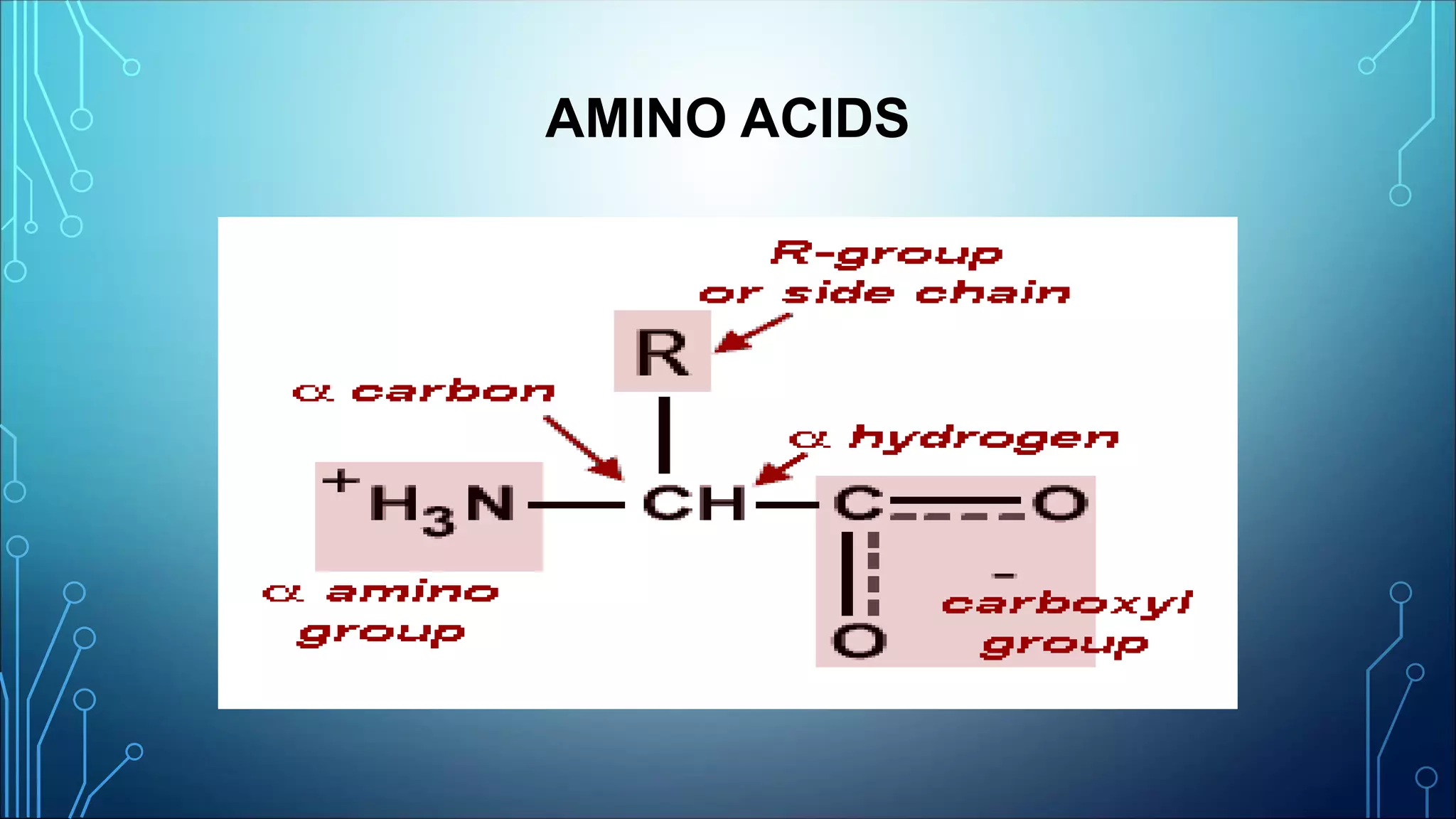 LECTURE 2 BIOCHEMISTRY.ppt