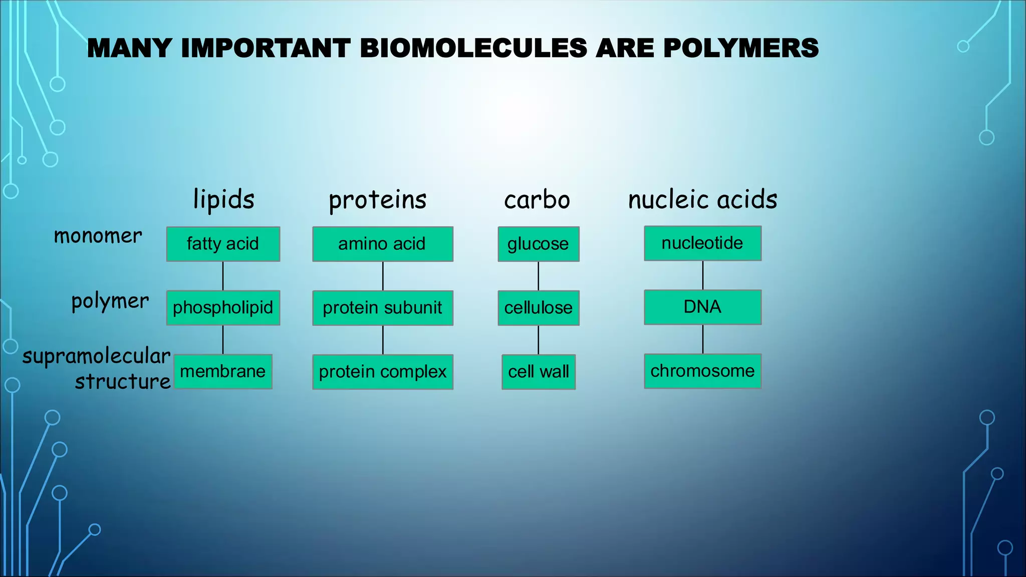 LECTURE 2 BIOCHEMISTRY.ppt