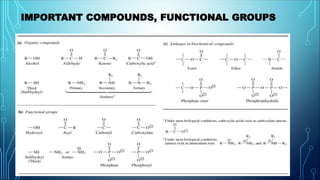 LECTURE 2 BIOCHEMISTRY.ppt