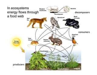 Lecture 2 biosphere & ecosystems | PPT