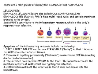 Lecture 2 blood | PPT
