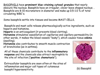 Lecture 2 blood | PPT