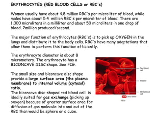 Lecture 2 blood | PPT