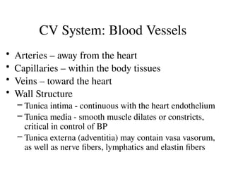 Lecture 2 Blood Vessels and circulatory physiology.pptx